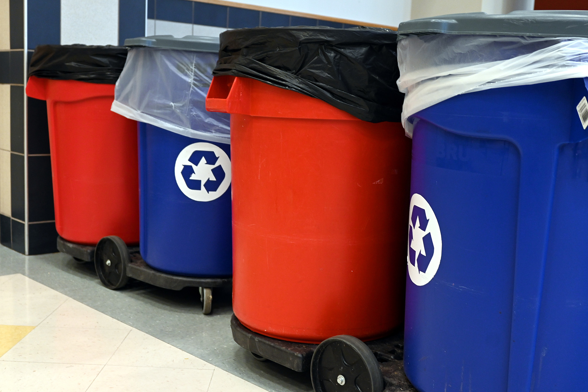 Garbage Collection - JJM Commercial Cleaning